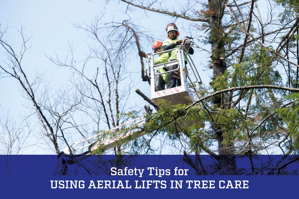 Download Guide | Safety Tips for Using Aerial Lifts in Tree Care